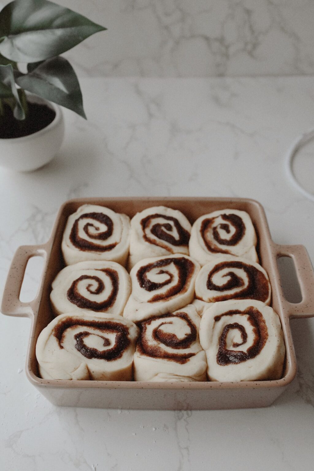 Cinnamon Rolls with Cream Cheese Frosting - Shreya's Kitchen