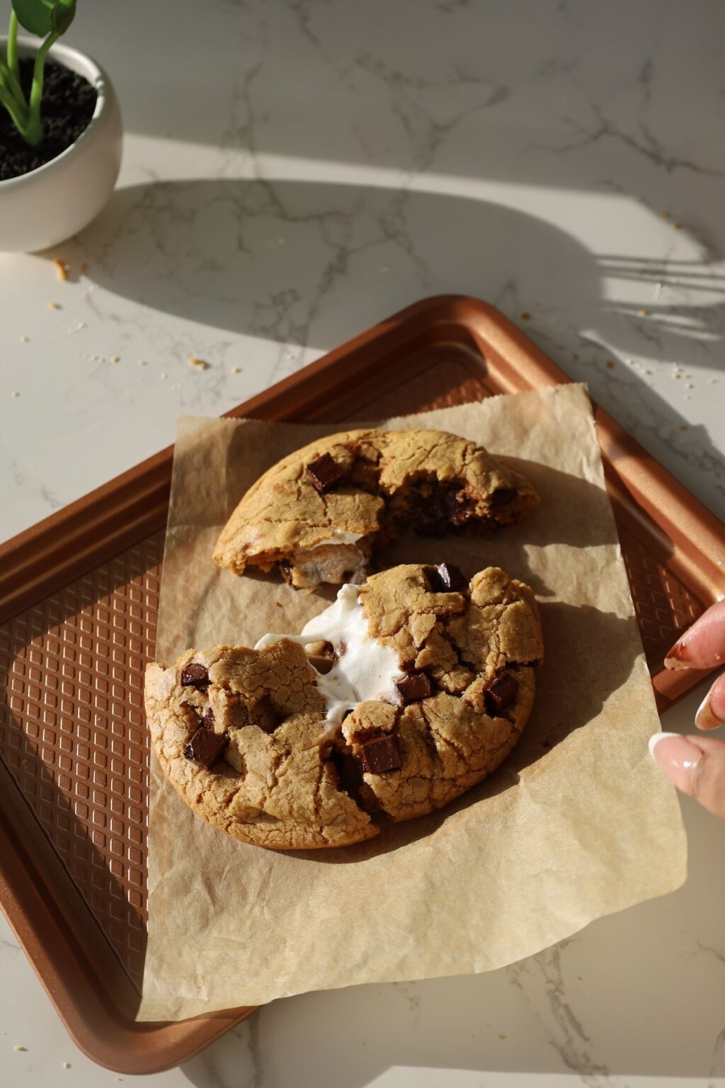 Easy S'mores Single Serving Cookie - Shreya's Kitchen