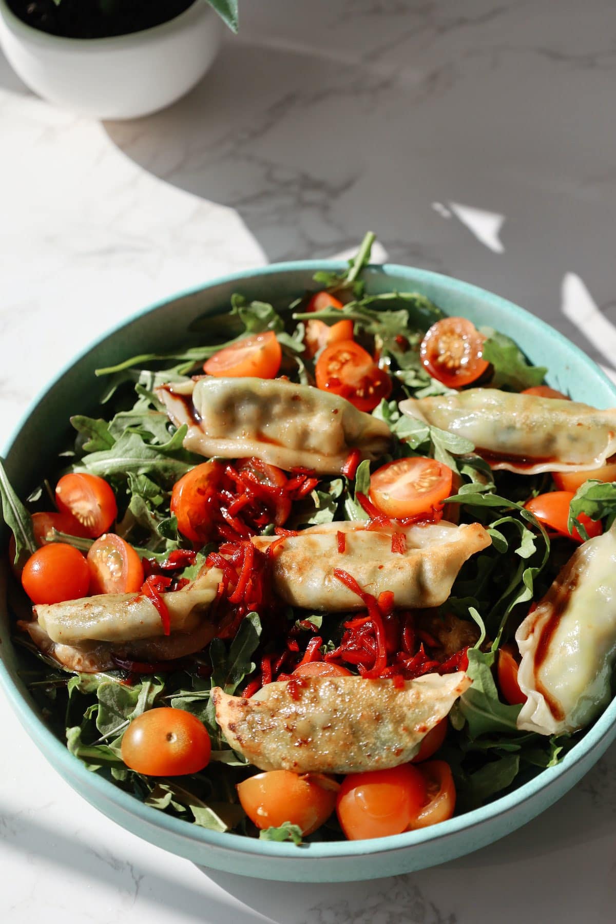 Dumpling Salad - Shreya's Kitchen