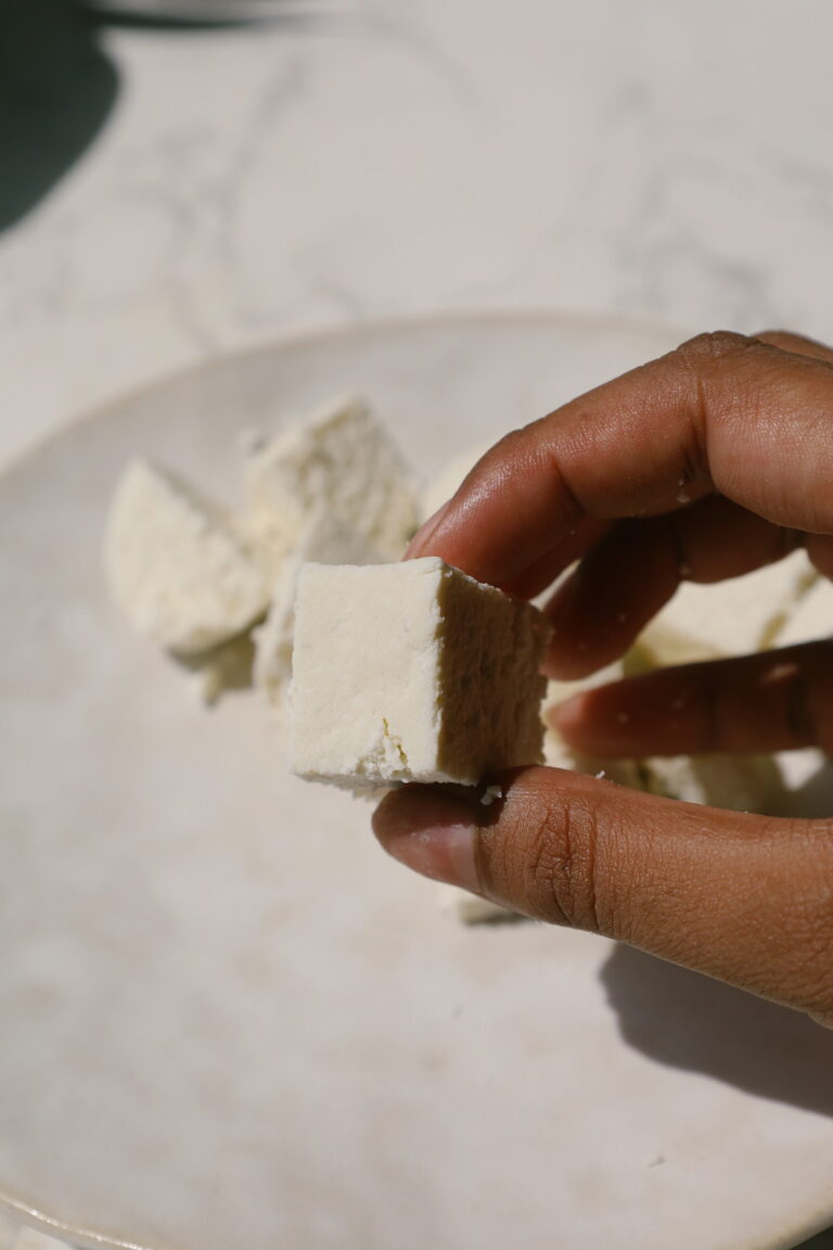 How to Make Paneer (Easy Version!) - Shreya's Kitchen
