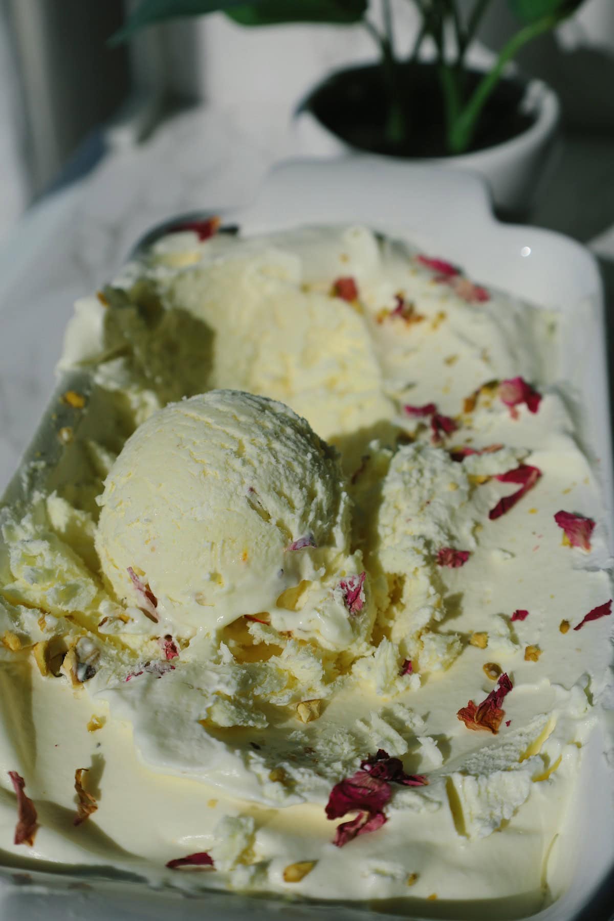 Quick Kulfi Recipe (Rose and Saffron Flavor) - Shreya's Kitchen