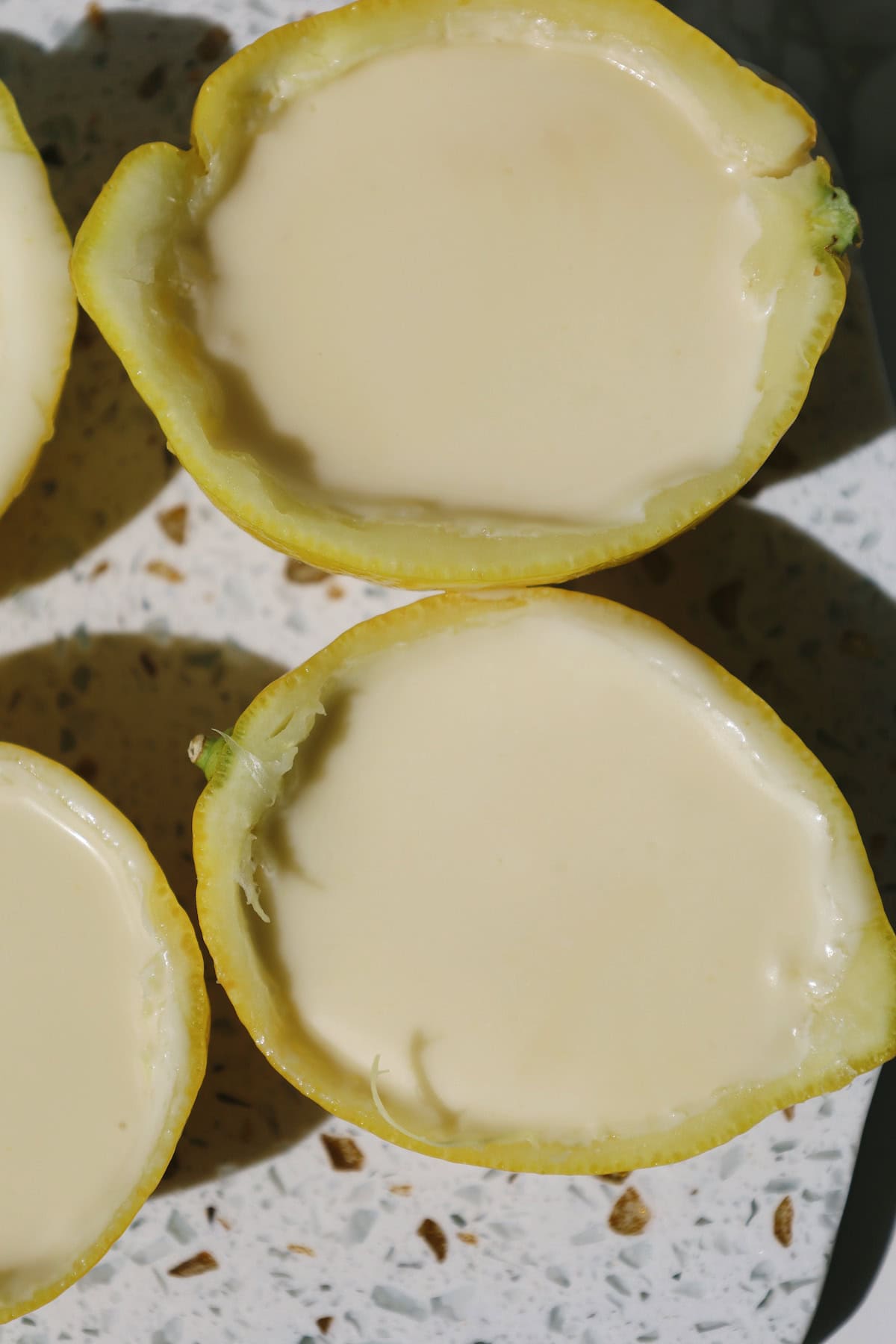Easy Lemon Posset Recipe - Shreya's Kitchen