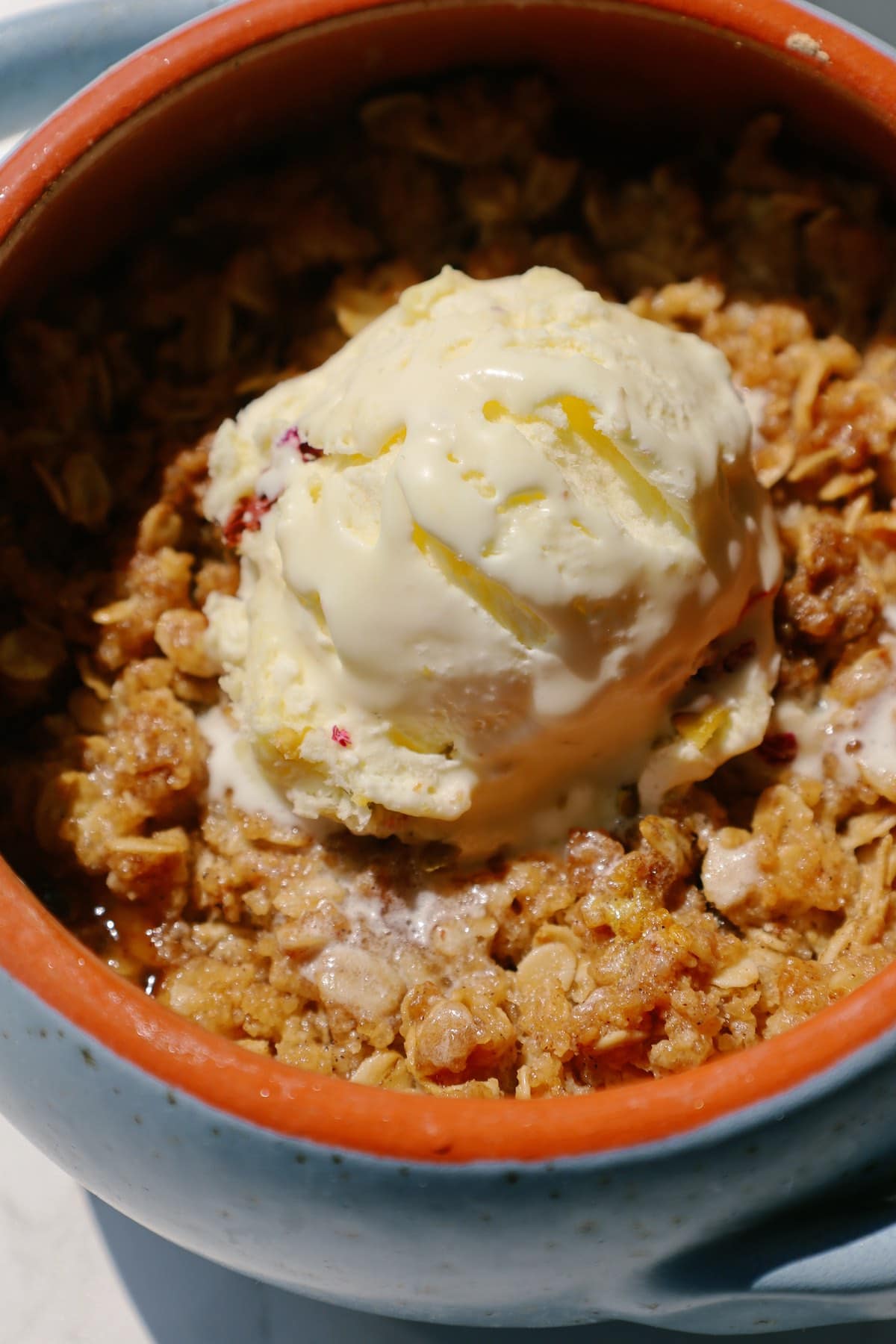 Single Serving Apple Crisp (Super Easy Recipe!) - Shreya's Kitchen