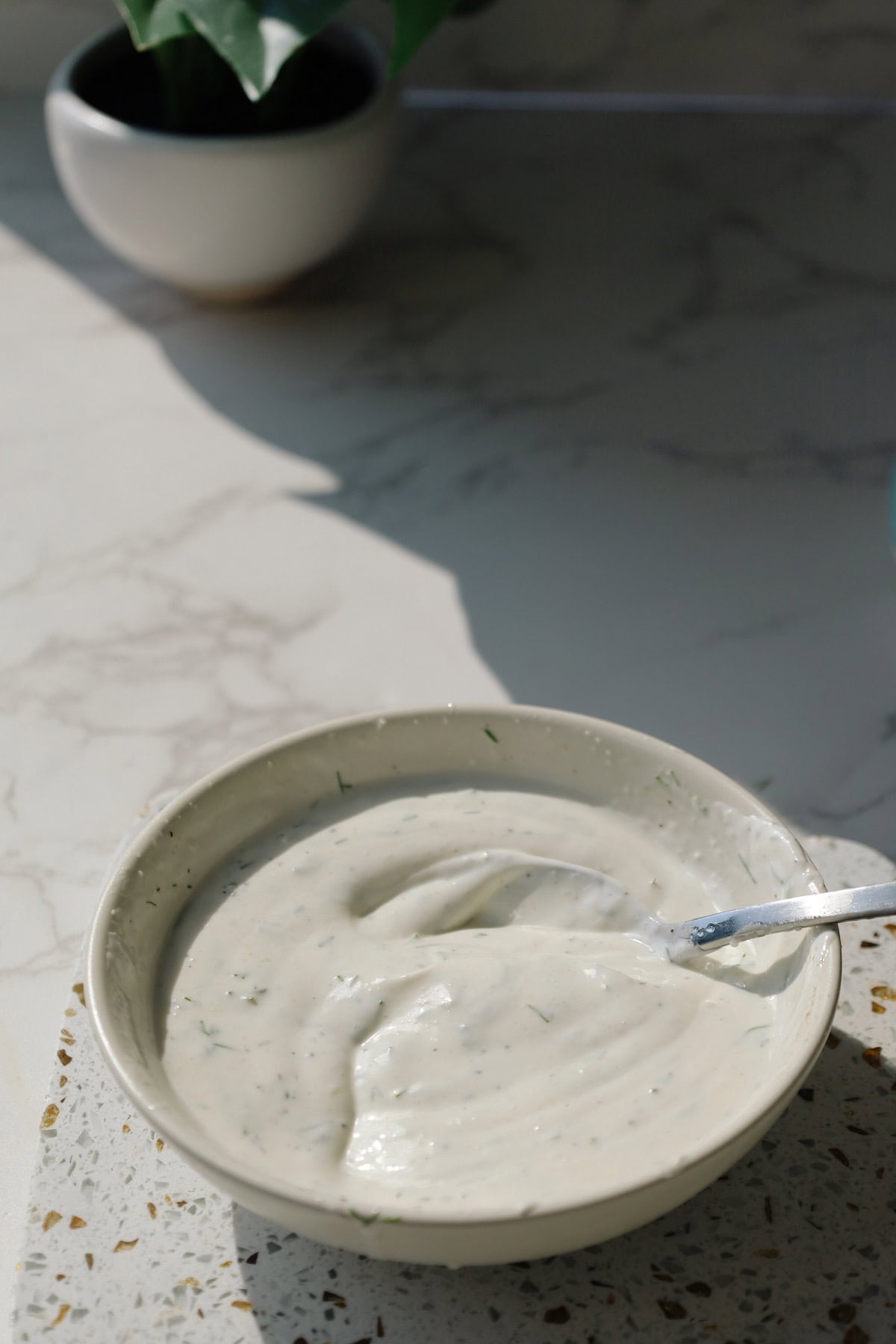 Homemade Buttermilk Ranch Dip Recipe (Easy!) - Shreya's Kitchen