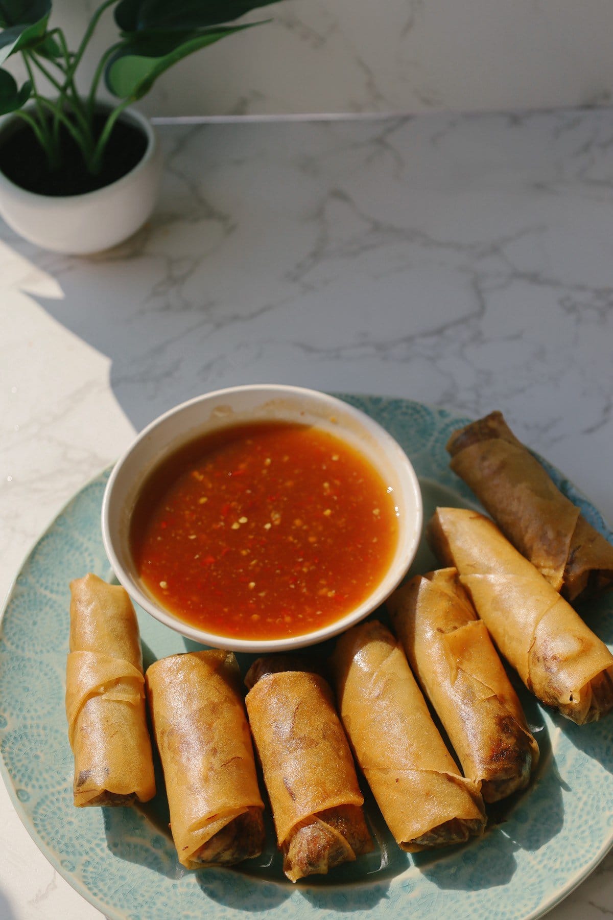 Fried Spring Rolls - Shreya's Kitchen