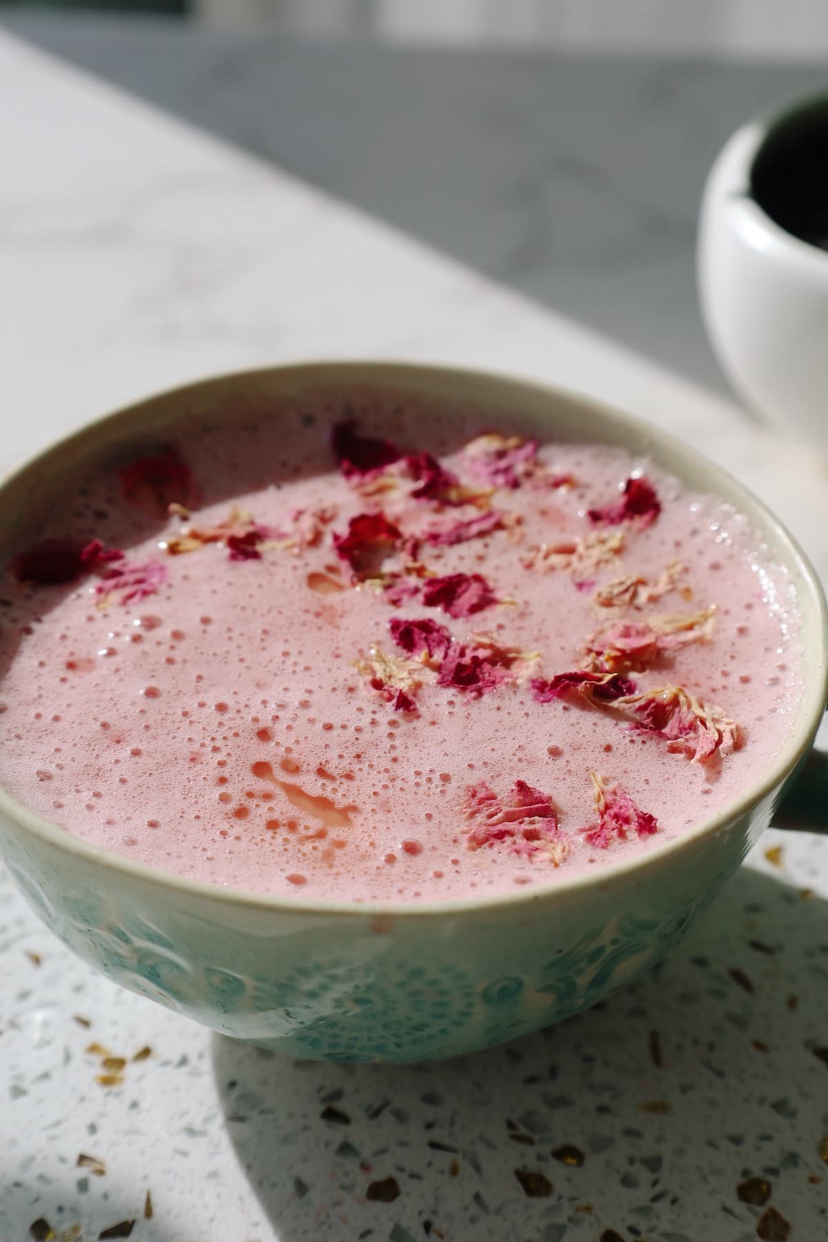 Moon Milk (Authentic Recipe) - Shreya's Kitchen