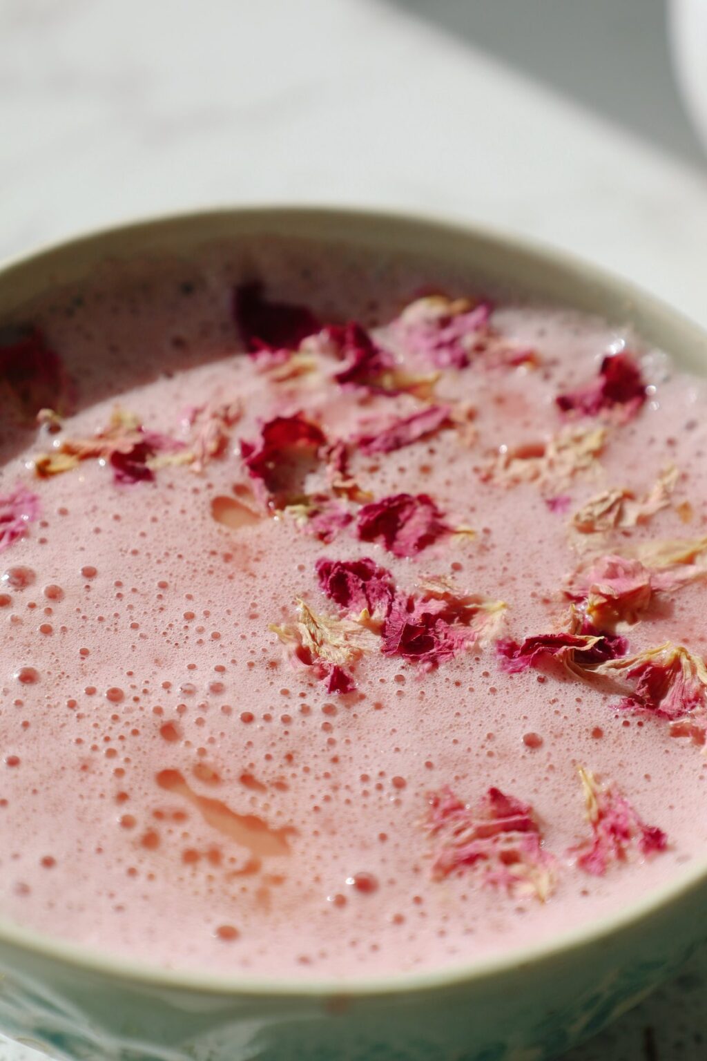 Moon Milk (Authentic Recipe) - Shreya's Kitchen