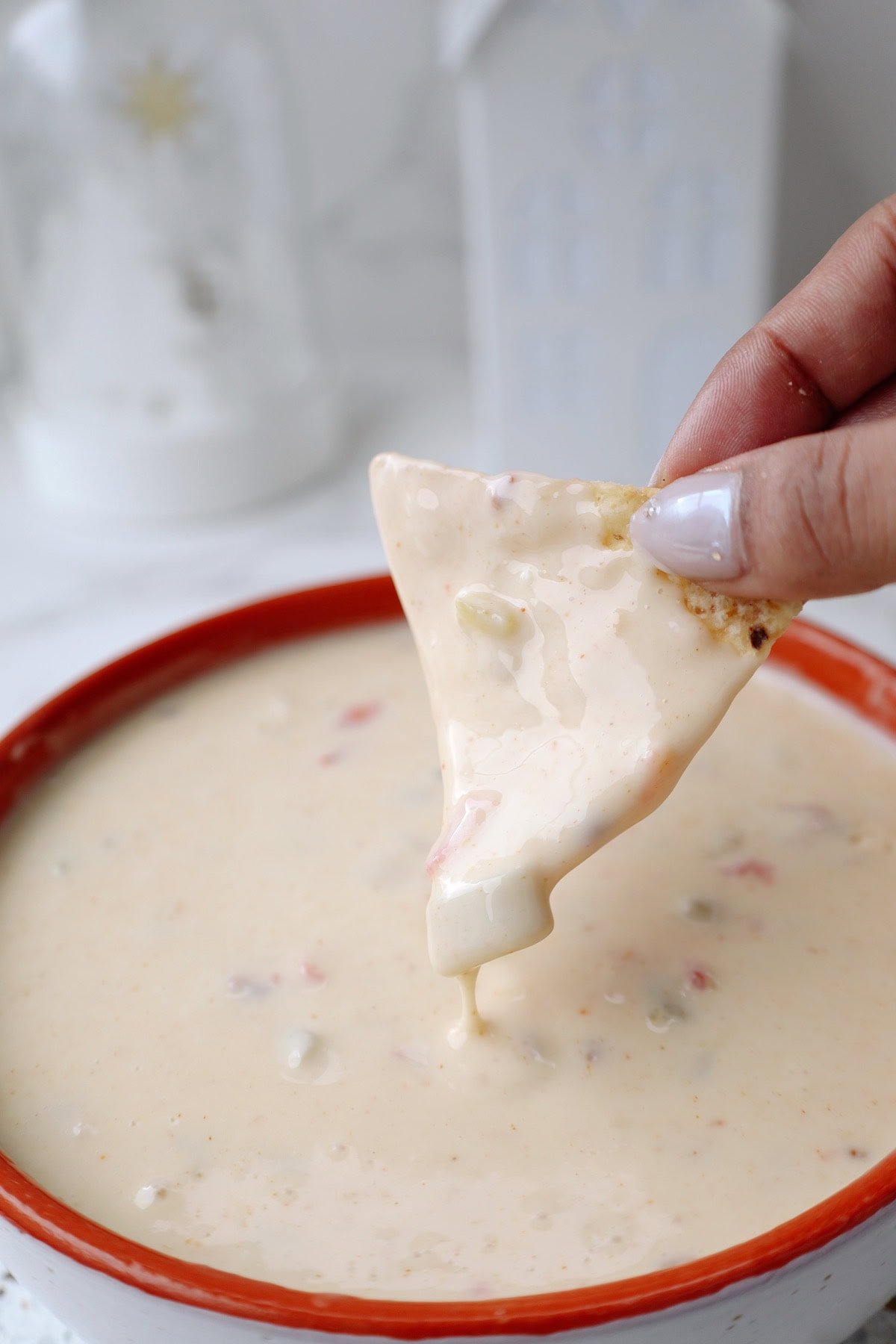 Queso Blanco Dip Recipe(Restaurant Style!) - Shreya's Kitchen